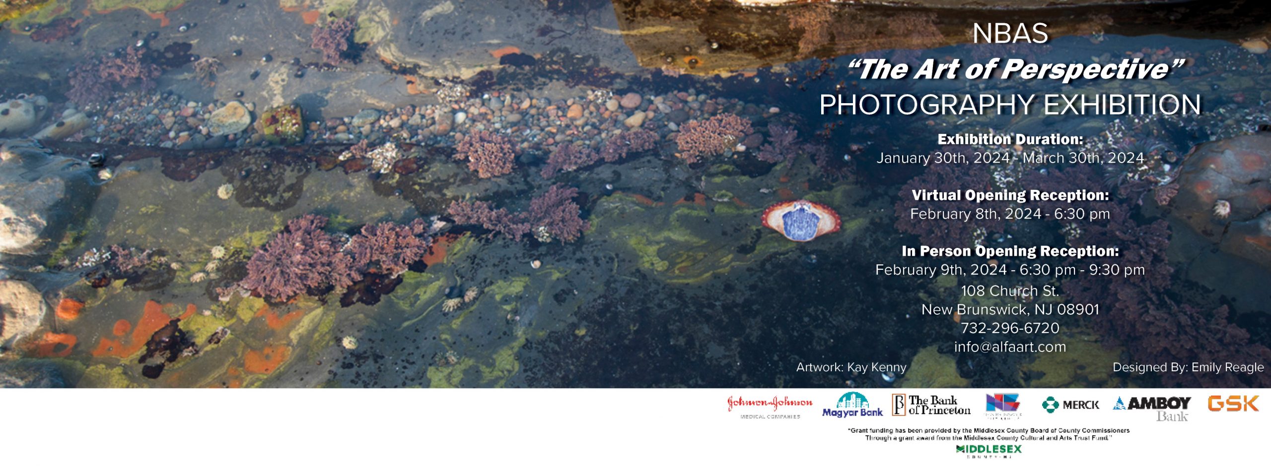 2024 NBAS - "The Art of Perspective" - Virtual Exhibition OPENING – Alfa Art Gallery